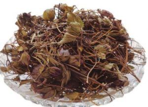What is this Magical Herb 'Jufa'? - Center for Ayurveda Studies