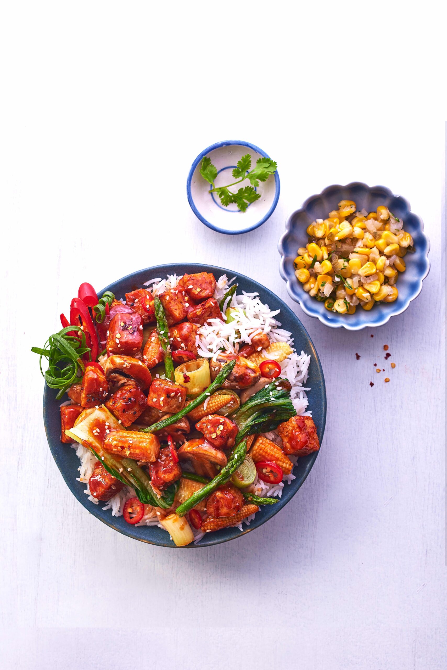 Introducing Tempeh to Indians With ‘Hello Tempayy’ - Center for ...