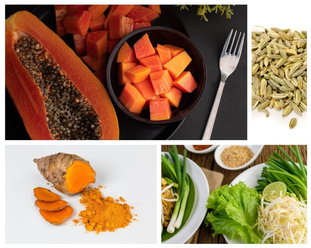 Twelve Ancient DIet Recommendations - Center for Ayurveda Studies